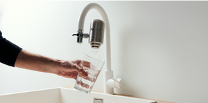 Pureva Water Filter | Naturally filtered water straight from the tap